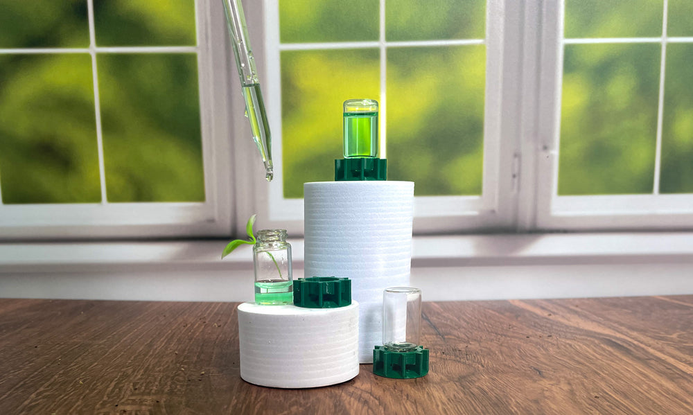 The Ant Vault: Beginner Ant Queens in USA | Ant Farms for Ant-Keeping.