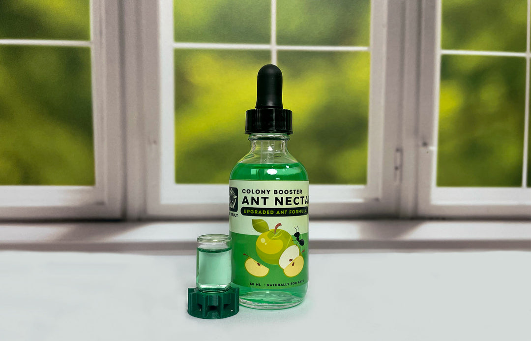 Landing Page – The Ant Vault