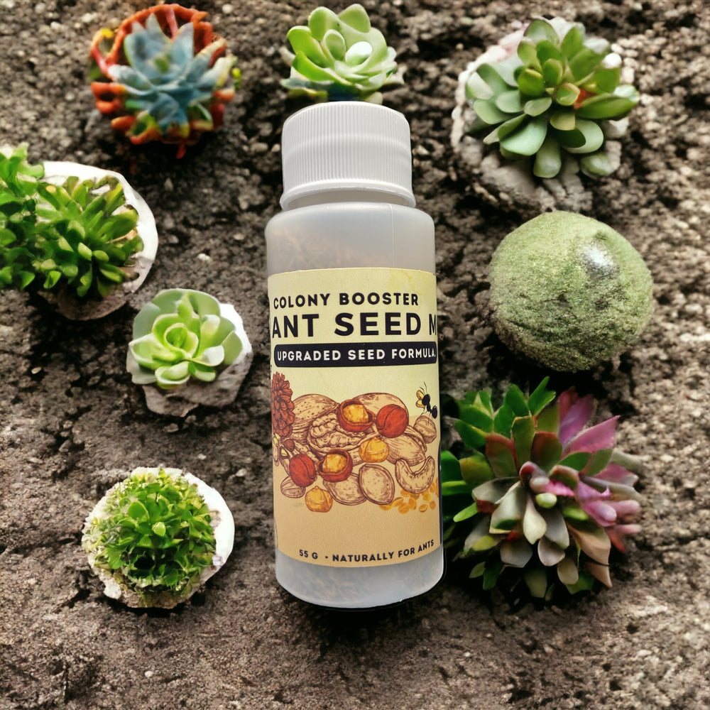 Ant Accessories – The Ant Vault